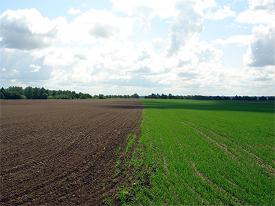 What You Need To Know About Investing In Land | LandCentral