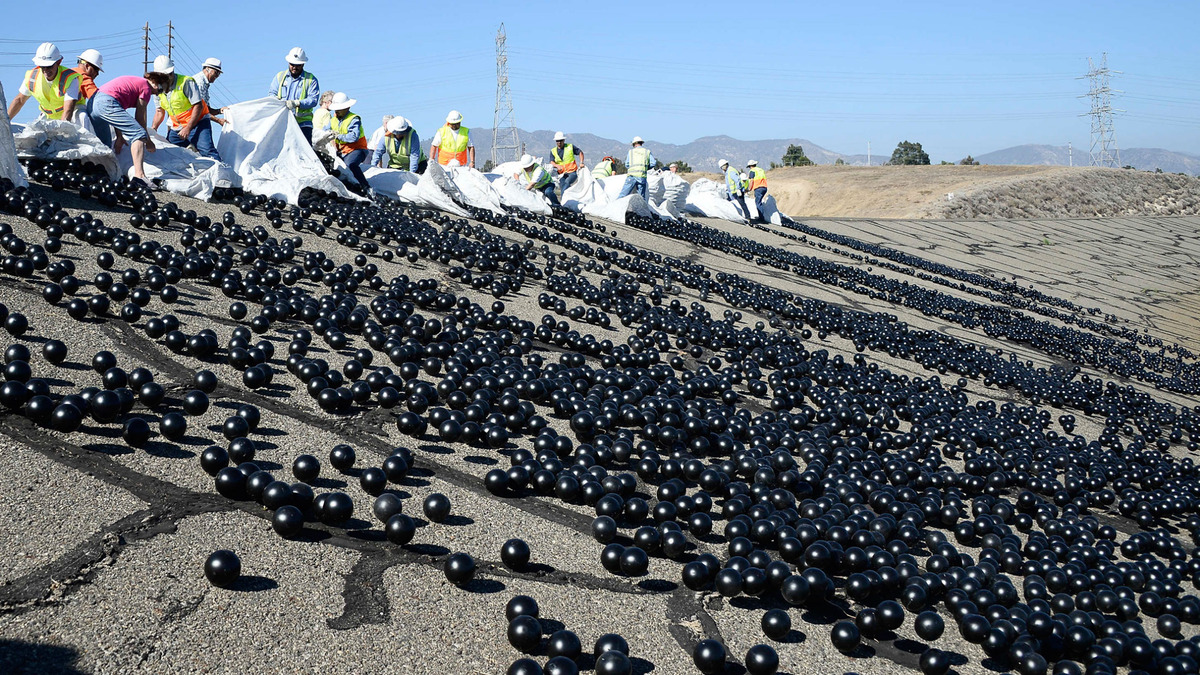 Shade Balls Should Save Millions - LandCentral