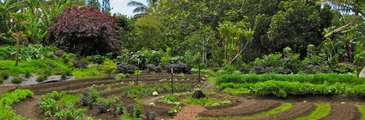 What Is Permaculture - LandCentral