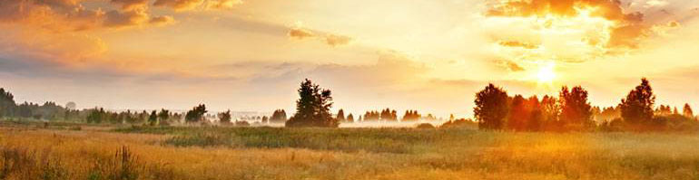 Everything You Need to Know About Investing in Land - LandCentral