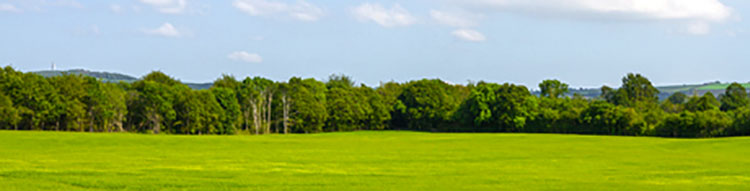 Know Your Options When Financing Vacant Land - LandCentral