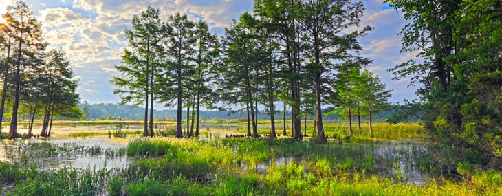 Get to Know Trinity County, Texas - LandCentral