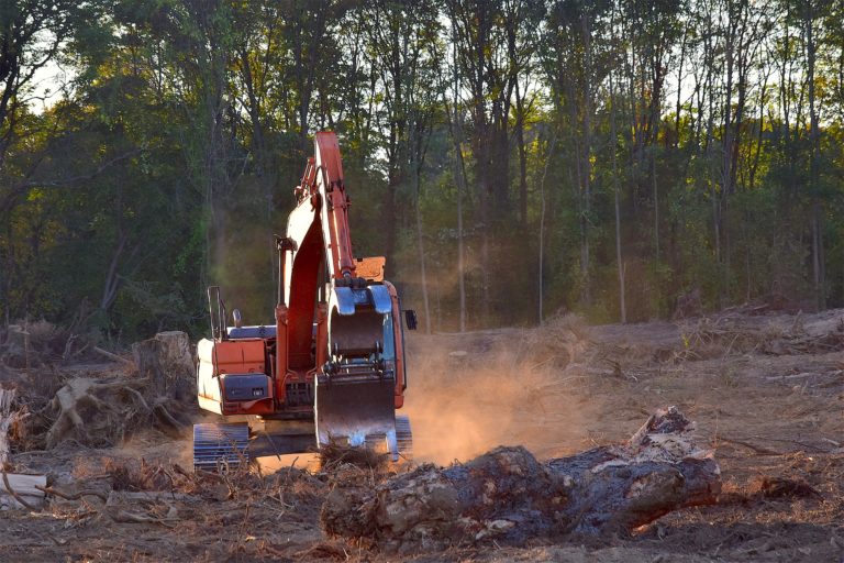 Land Clearing Basics: Getting Your Land Ready to Build - LandCentral