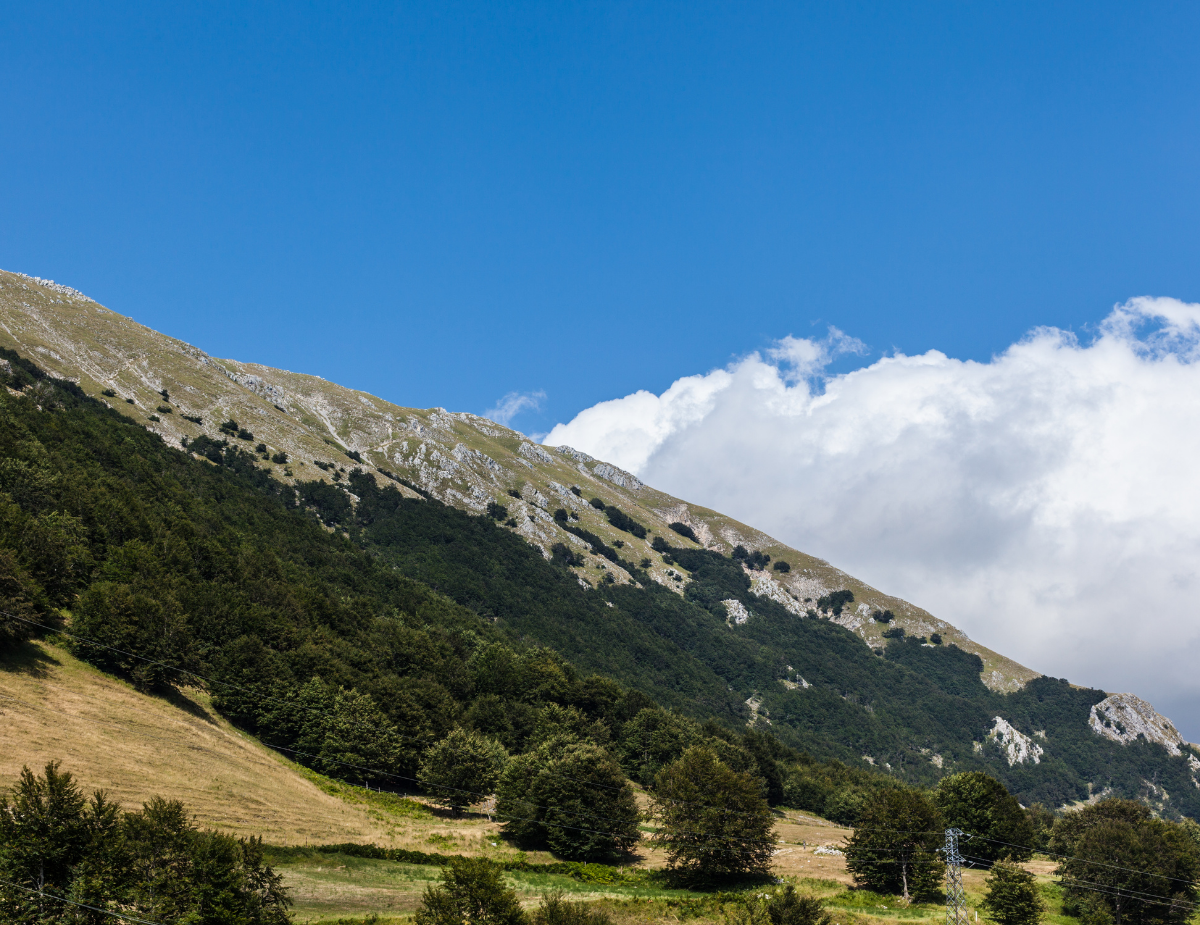 Challenging Types of Land - Sloped and Narrow - LandCentral