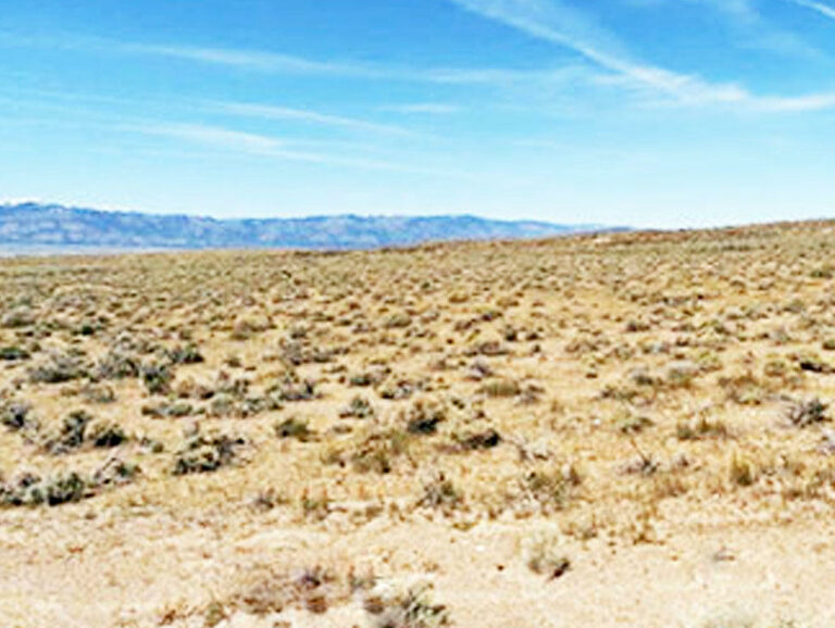 Rare Large Acreage Lots On Sale Now! - LandCentral