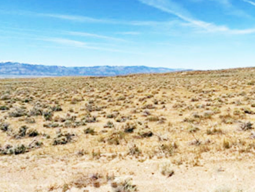 Rare Large Acreage Lots On Sale Now! - LandCentral