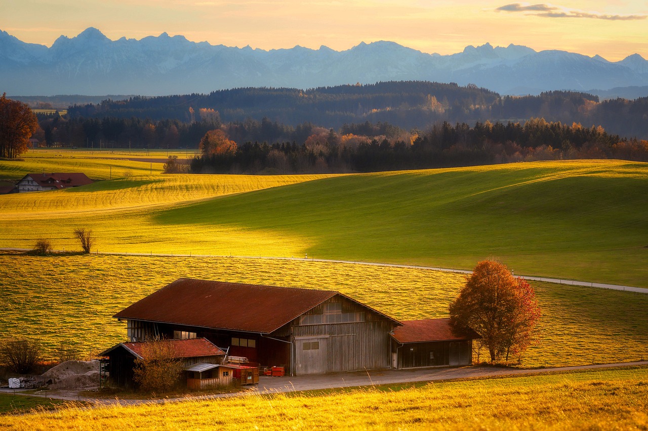 Homesteading 101: Step By Step Beginners Guide - LandCentral