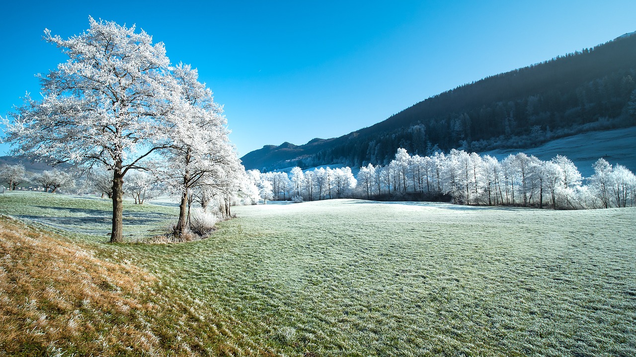 Reading the Winter Landscape: What Snow Can Tell You About Your Land ...