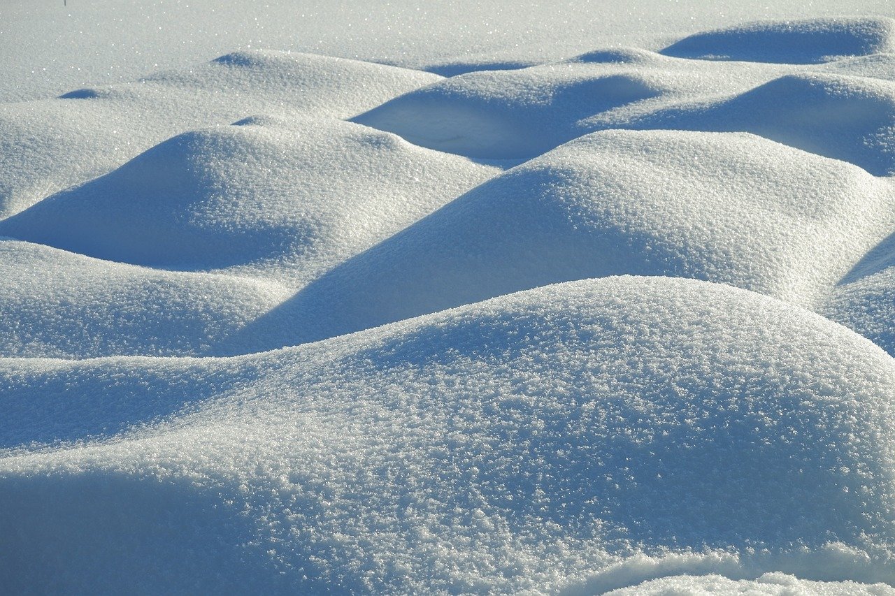 Reading the Winter Landscape: What Snow Can Tell You About Your Land ...